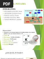 Tomevit Solución: Adultos Niños Lactantes | PDF