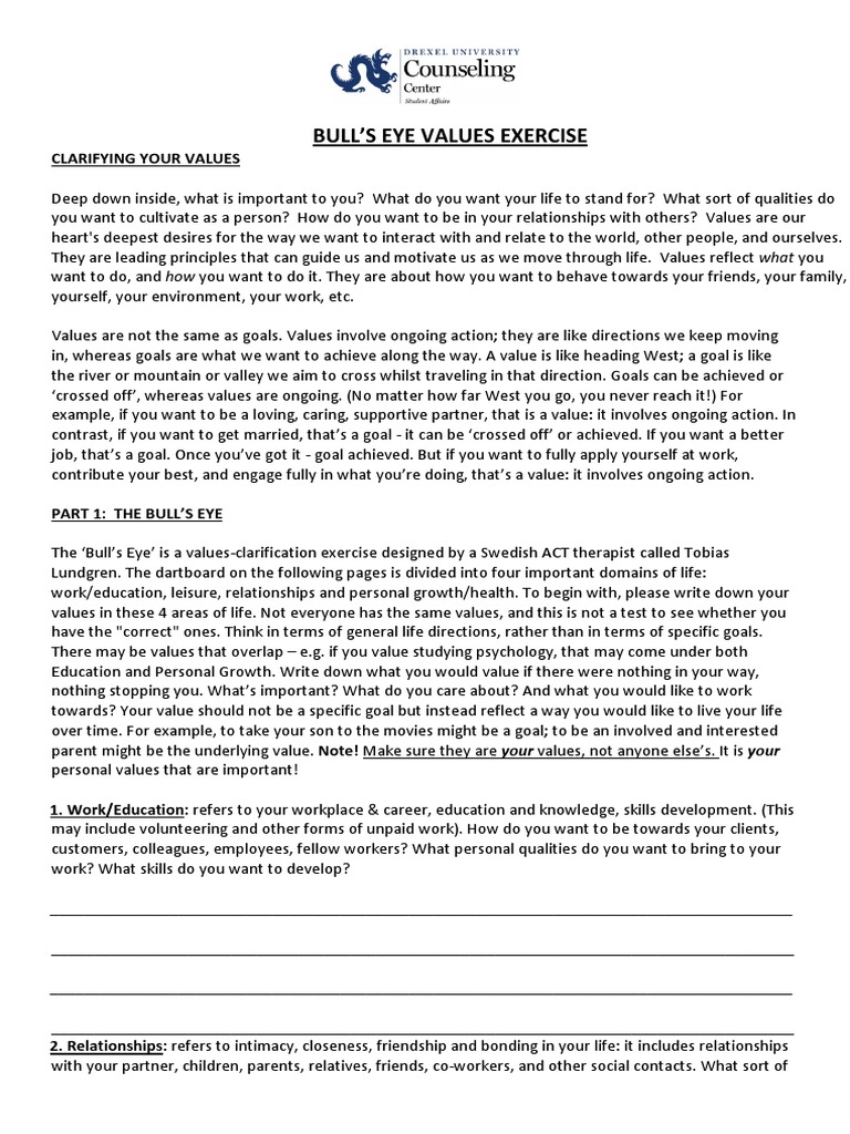 Bulls Eye Values Exercise | PDF | Goal | Personal Development