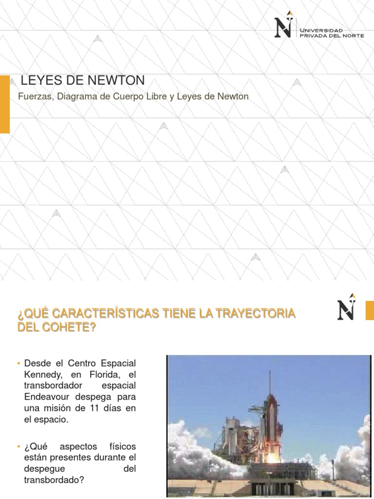 Leyes de Newton | PDF | Las leyes del movimiento de Newton | Fuerza