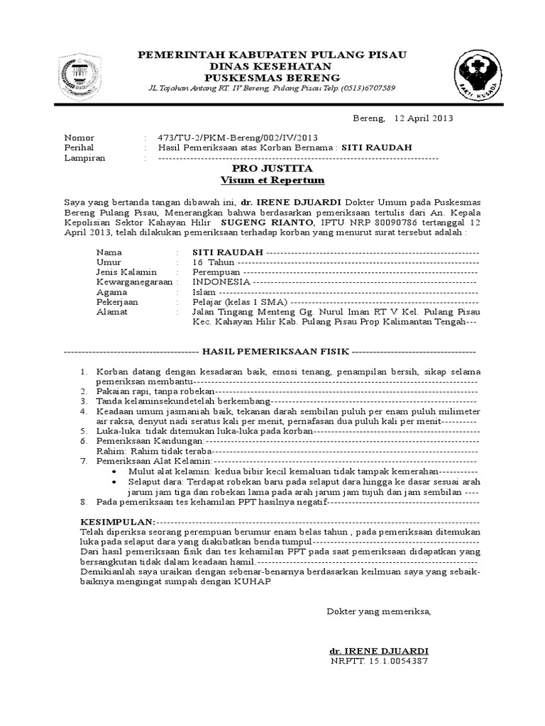Format Visum | PDF