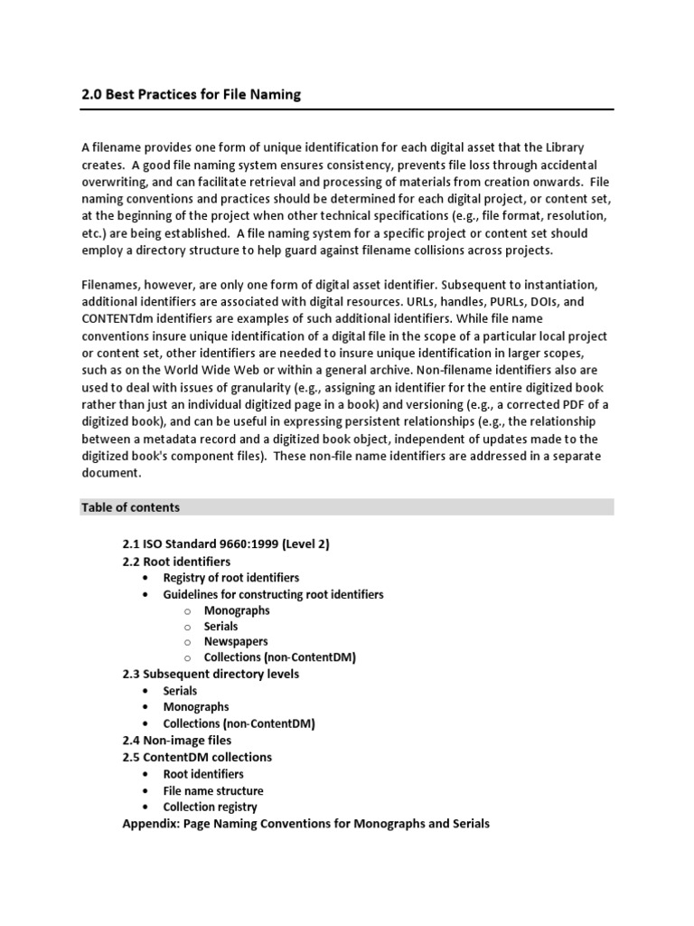 File Naming Best Practices Guide | PDF | Identifier | Filename
