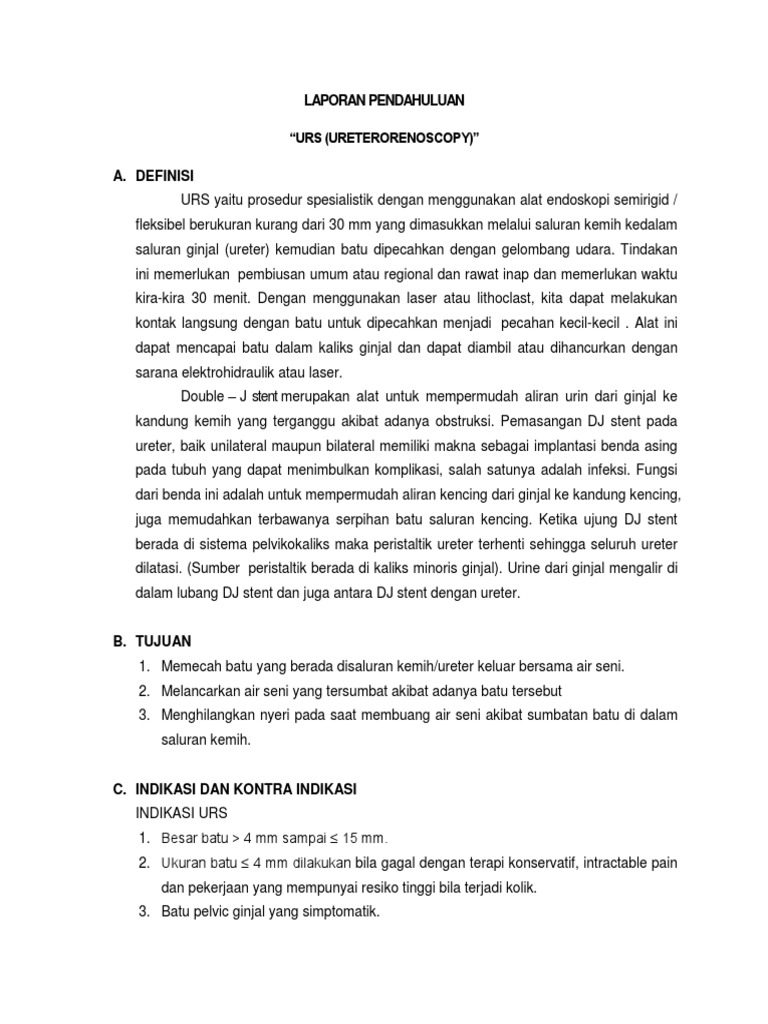 LP Urs + DJ Stent | PDF