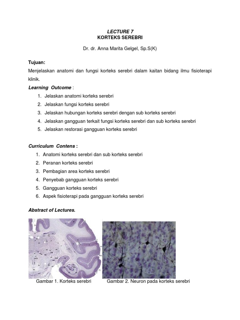 Lecture 7 Korteks Serebri | PDF