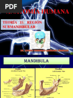 Triangulo de Farabeuf | PDF | Anatomía humana | Cabeza y cuello humanos