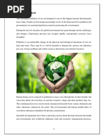 Environmental Pollution Project | PDF | Natural Environment | Sound