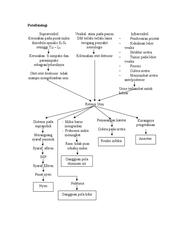 Pathway Retensi Urine