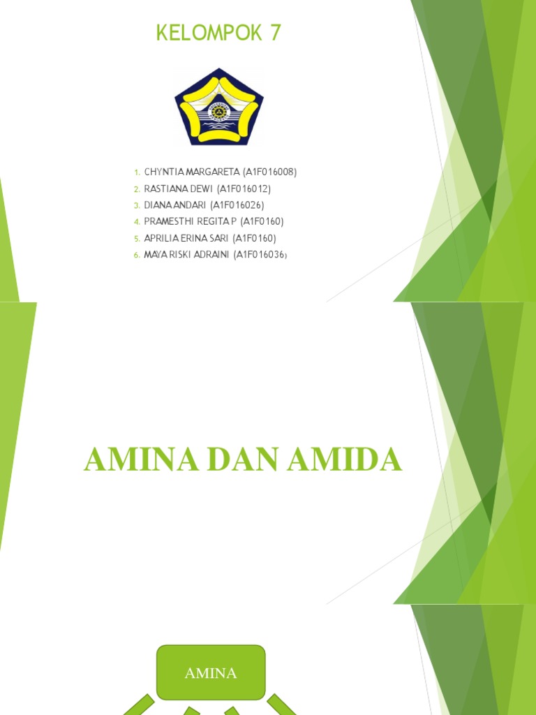 Amina Dan Amida | PDF