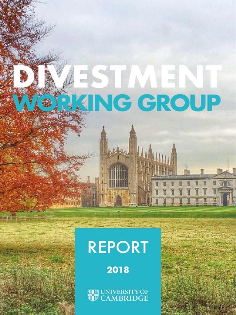 Divestment Working Group Final Report | PDF | Investment Management ...