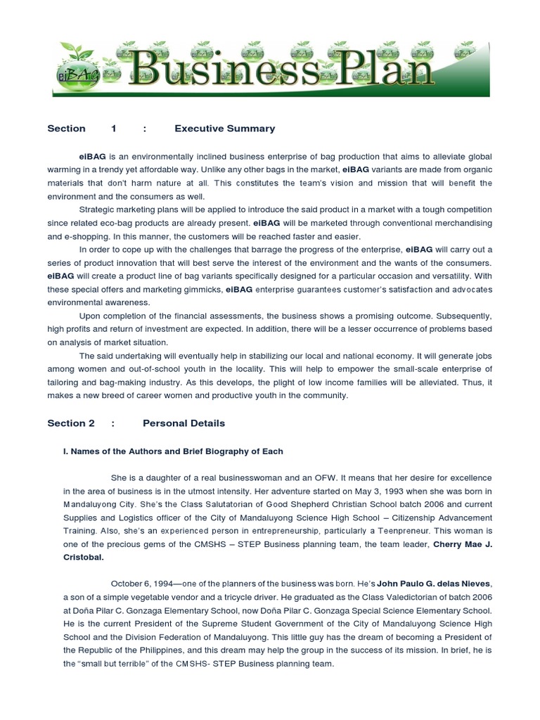 Regional Business Plan-Manuscript-Of-Eibag | PDF | Advertising | Marketing
