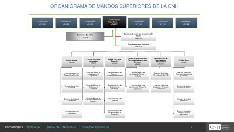 CNH Organizational Chart Shows Leadership Structure | PDF | Economies ...