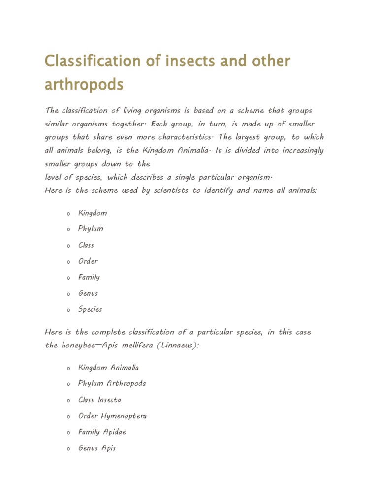 Classification of Insects and Other Arthropods | PDF | Insects ...
