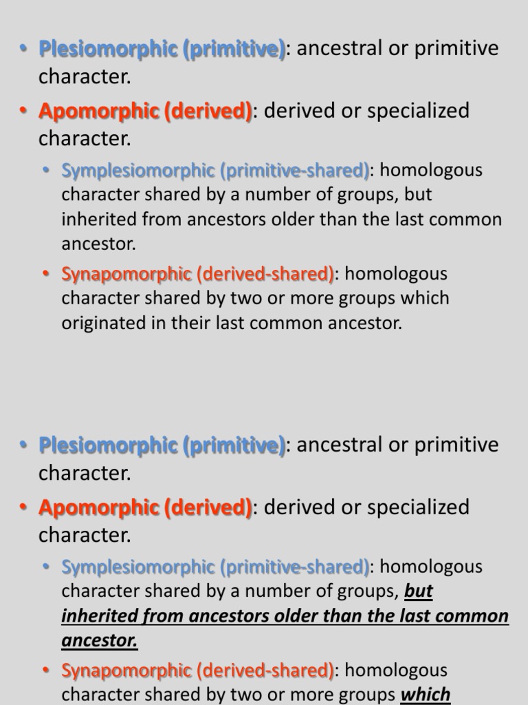 Understanding Plesiomorphy and Synapomorphy | PDF | Biological ...