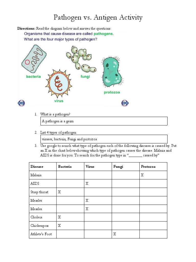 1 Pathogen Vs Antigen Activity - Pilar Julissa Ruiz Valdez | PDF ...