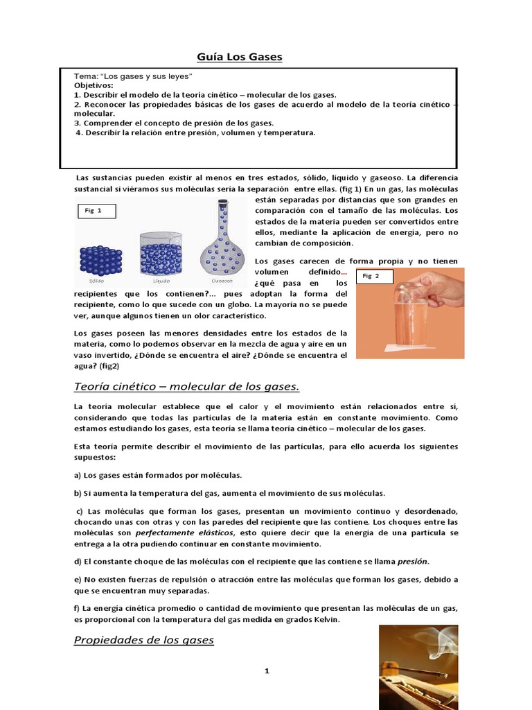 Guía de Gases y sus Leyes | PDF | Gases | Mole (Unidad)
