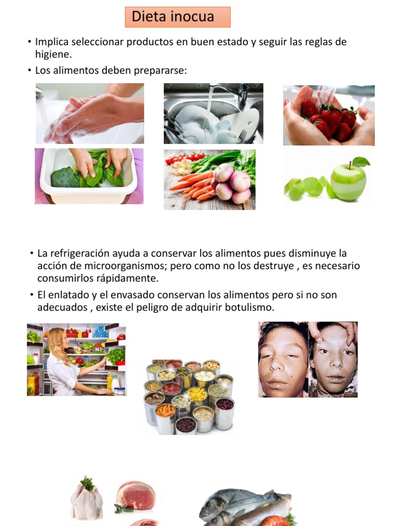 Dieta Inocua | PDF