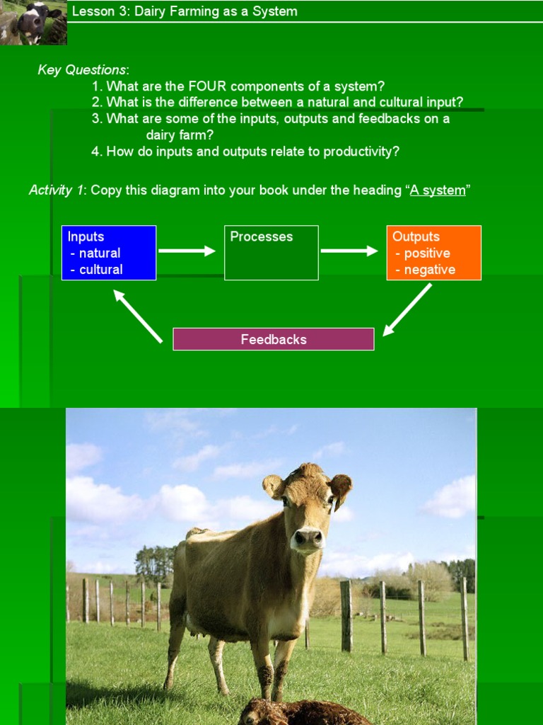 Understanding Dairy Farming Systems | PDF | Dairy Farming | Agriculture