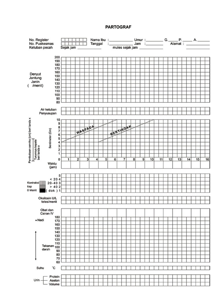 Lembar Partograf | PDF