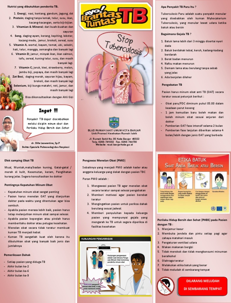 Ingat !!!: Apa Penyakit TB Paru Itu ? Nutrisi Yang Dibutuhkan Penderita TB | PDF