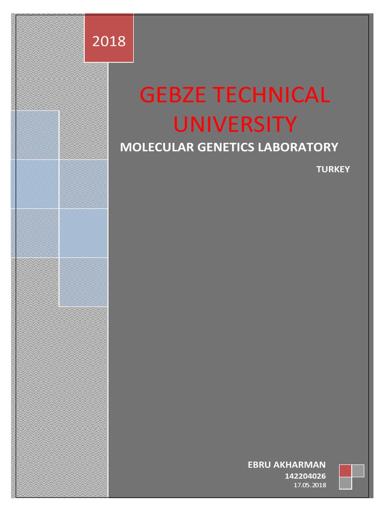Boiling Method for Plasmid Isolation | PDF | Plasmid | Molecular Cloning