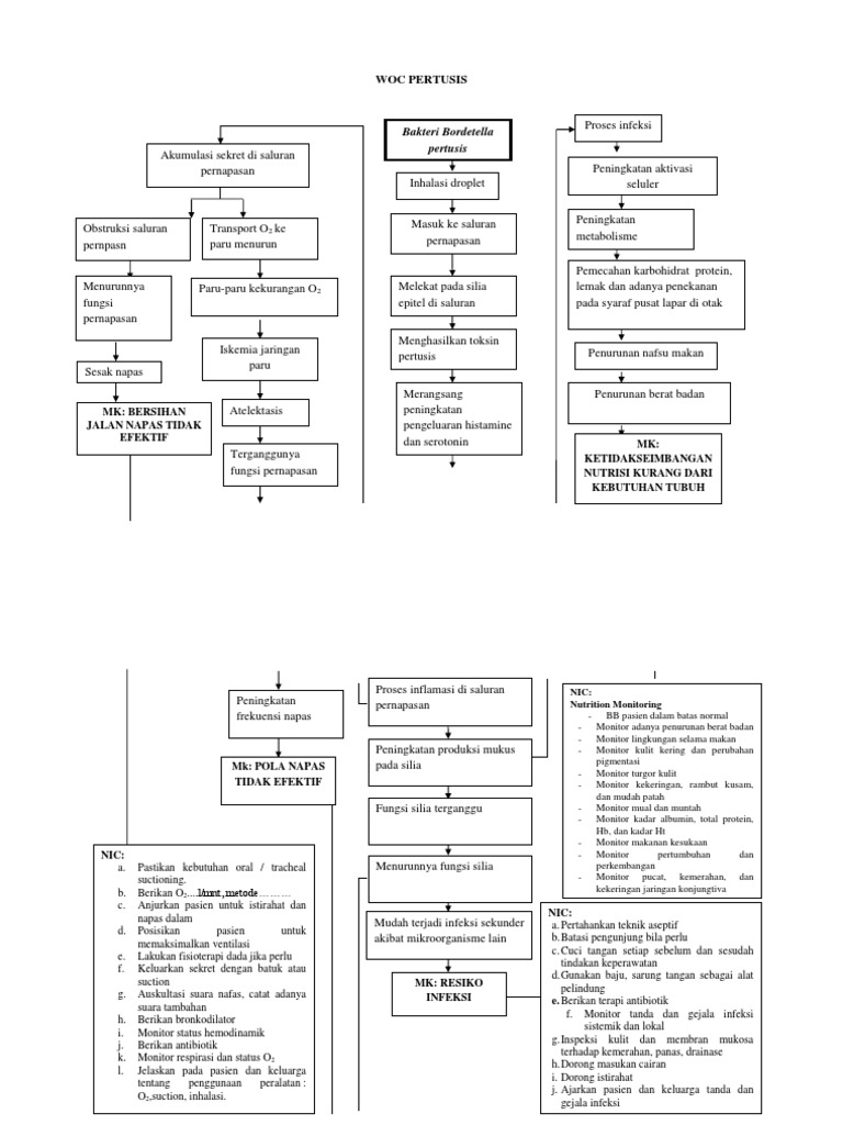 Pathway Pertusis dan Penanganannya | PDF