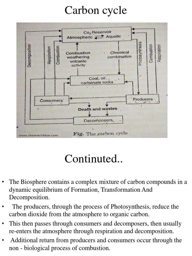 Carbon Cycle Explained in 40 Characters | PDF | Carbon Cycle | Carbon ...