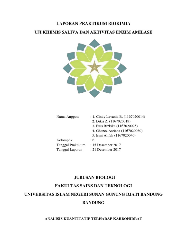 Uji Khemis Saliva Dan Aktivitas Enzim Amilase | PDF