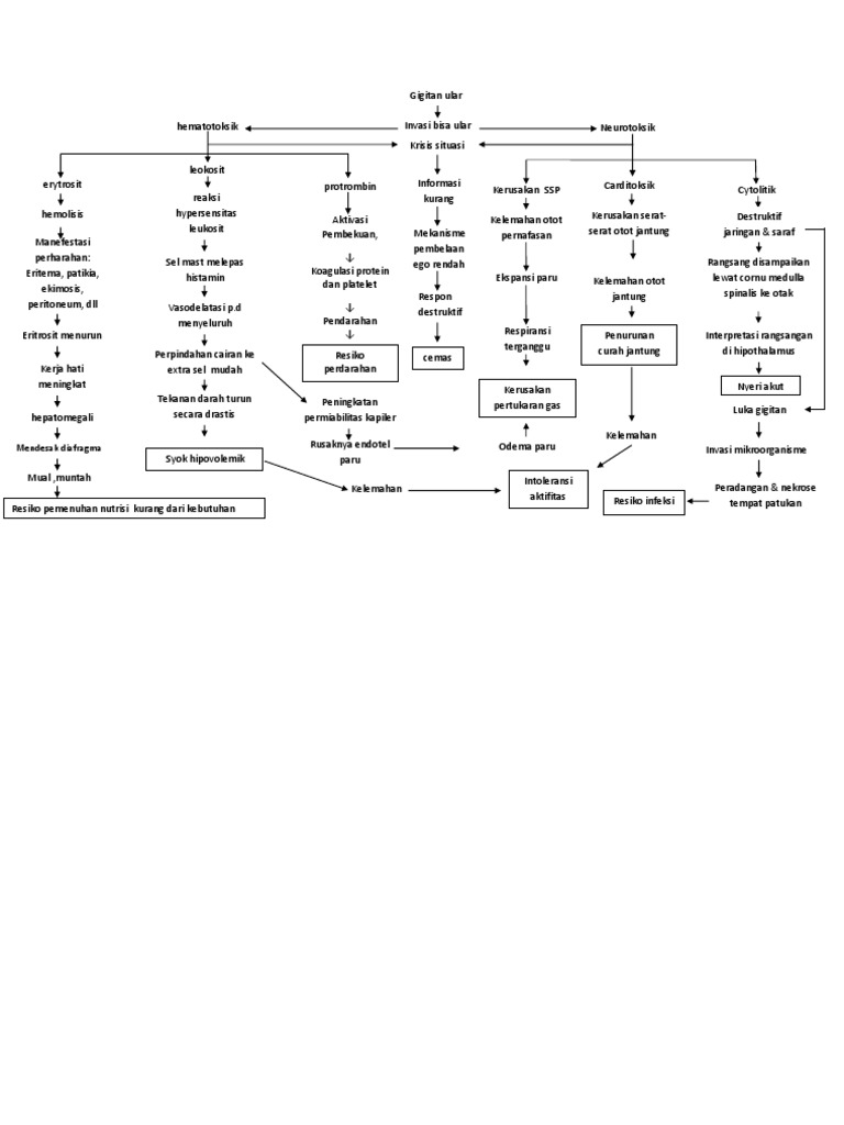 WOC Snake Bite | PDF