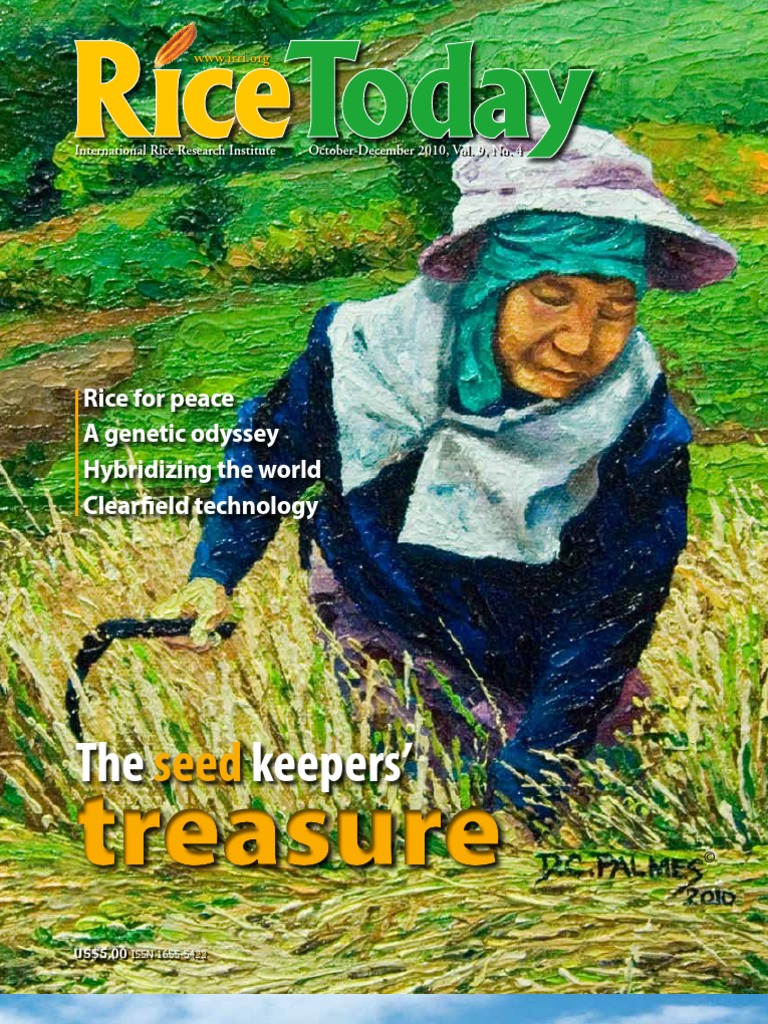 Rice Today Vol. 9, No. 4 | PDF | International Rice Research Institute ...