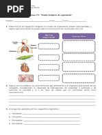Actividades 5 Taxonomía de Los Seres Vivos | PDF