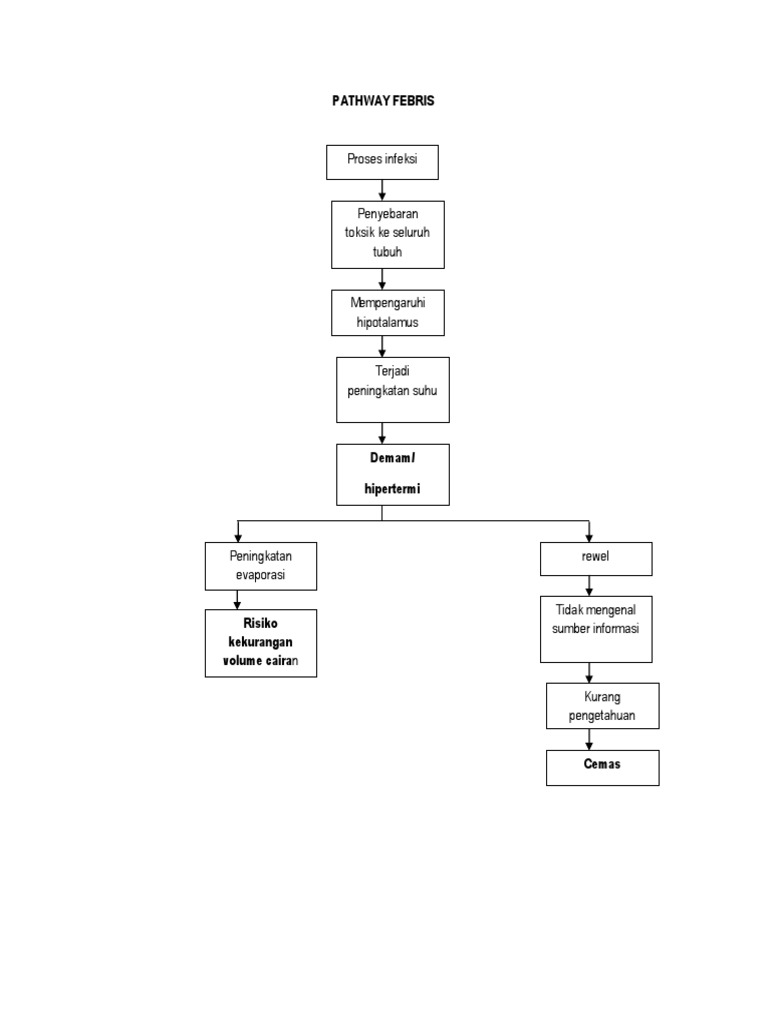 Pathway Febris | PDF