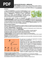 CÓSMIDOS | PDF | Plásmido | Biotecnología