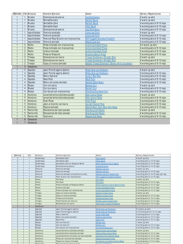 Y3T Programa Completo | PDF