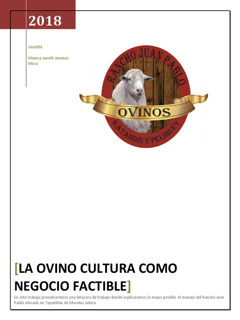 Bitácora de Trabajo | PDF | Oveja | Alimentos