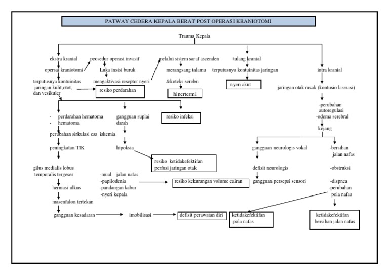 Patway Cedera Kepala Berat Post Op Kraniotomi | PDF