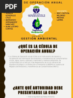 Cédula de Operación Anual COA 2024 | PDF | Residuos | Entorno natural