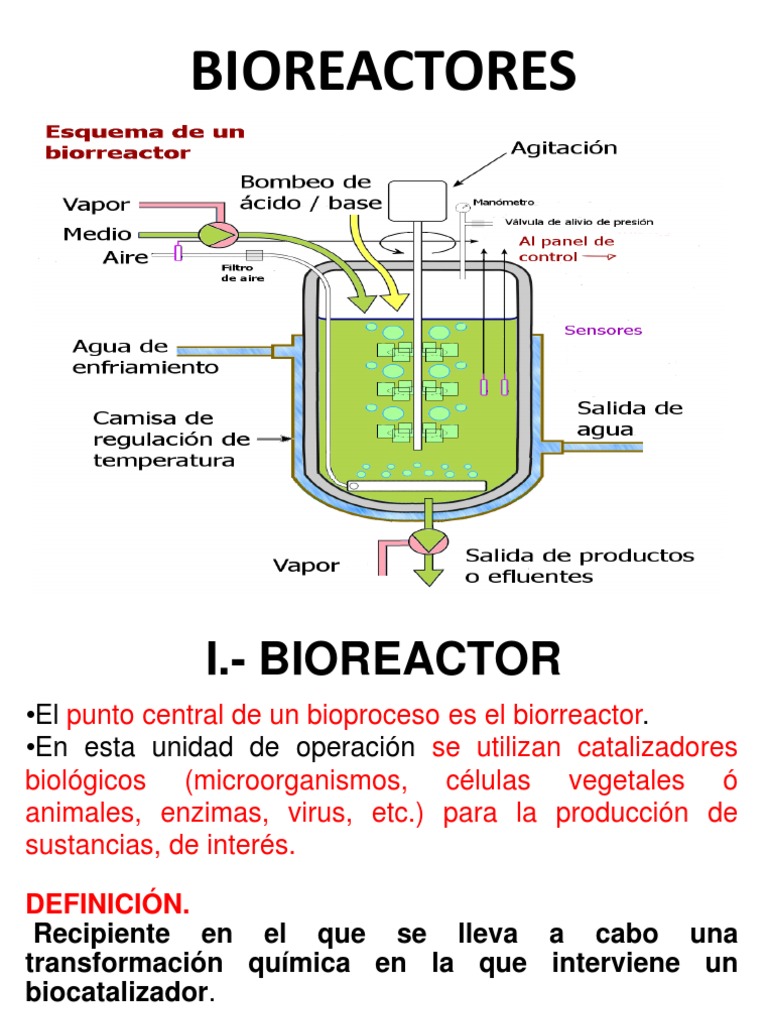 Bioreactores.2 | Ingeniería Química | Naturaleza