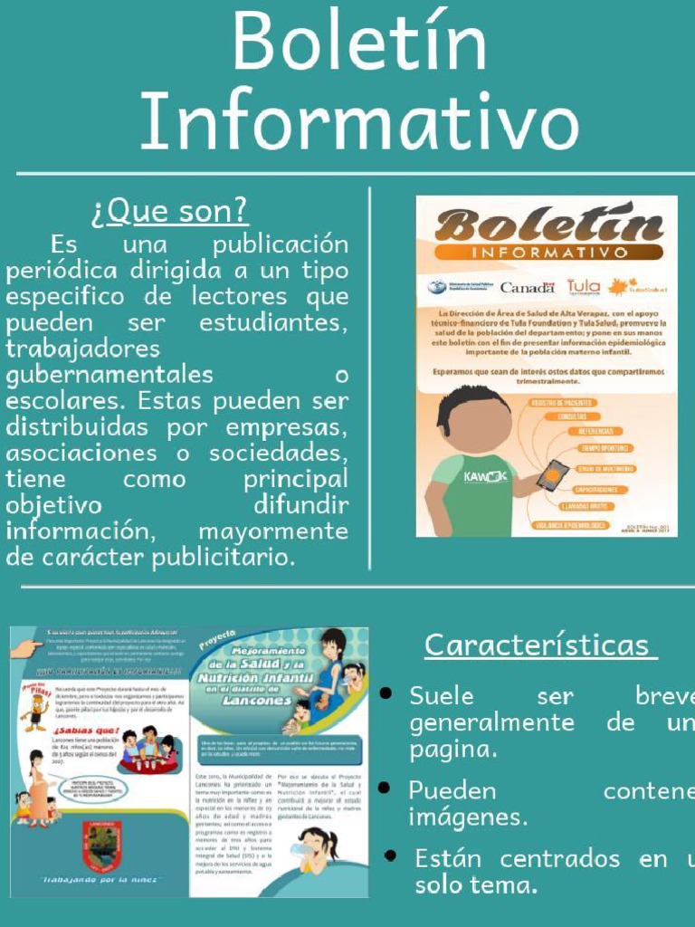 Boletin Informativo | PDF