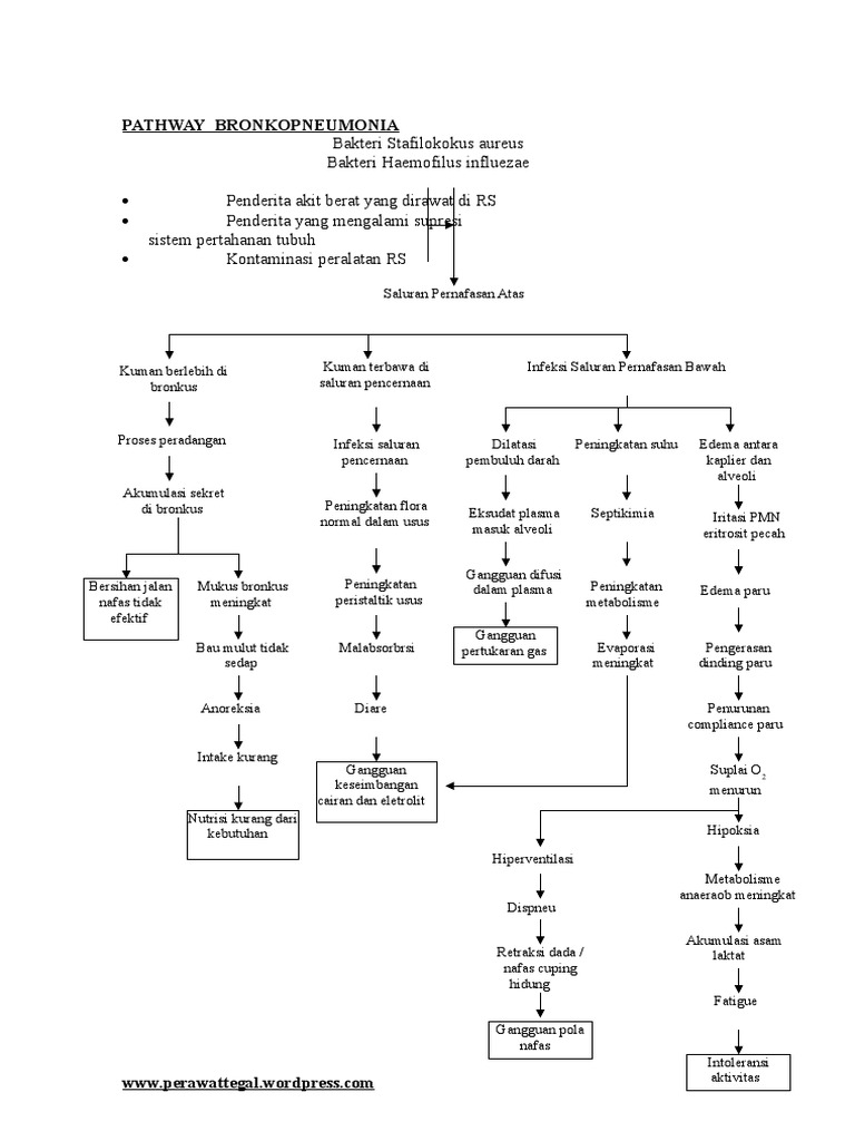 Pathway Bronkopneumonia