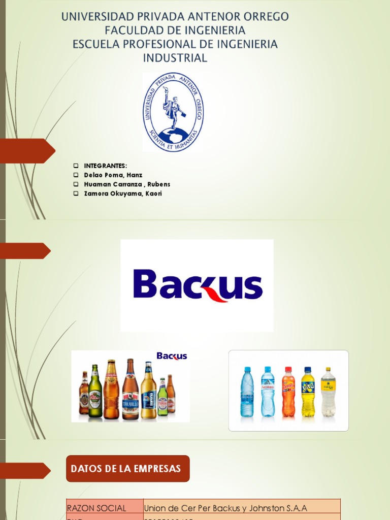 Diseño de Sistema Backus 1 | PDF | Economias | Business