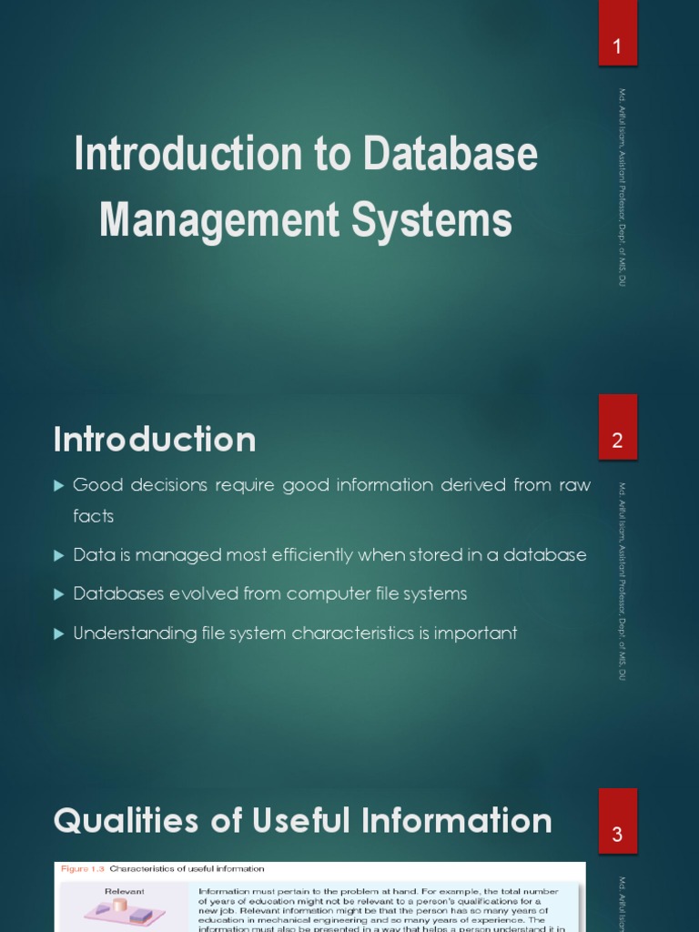 Understanding Database Management Systems: An Introduction to the Fundamentals and Key Concepts ...
