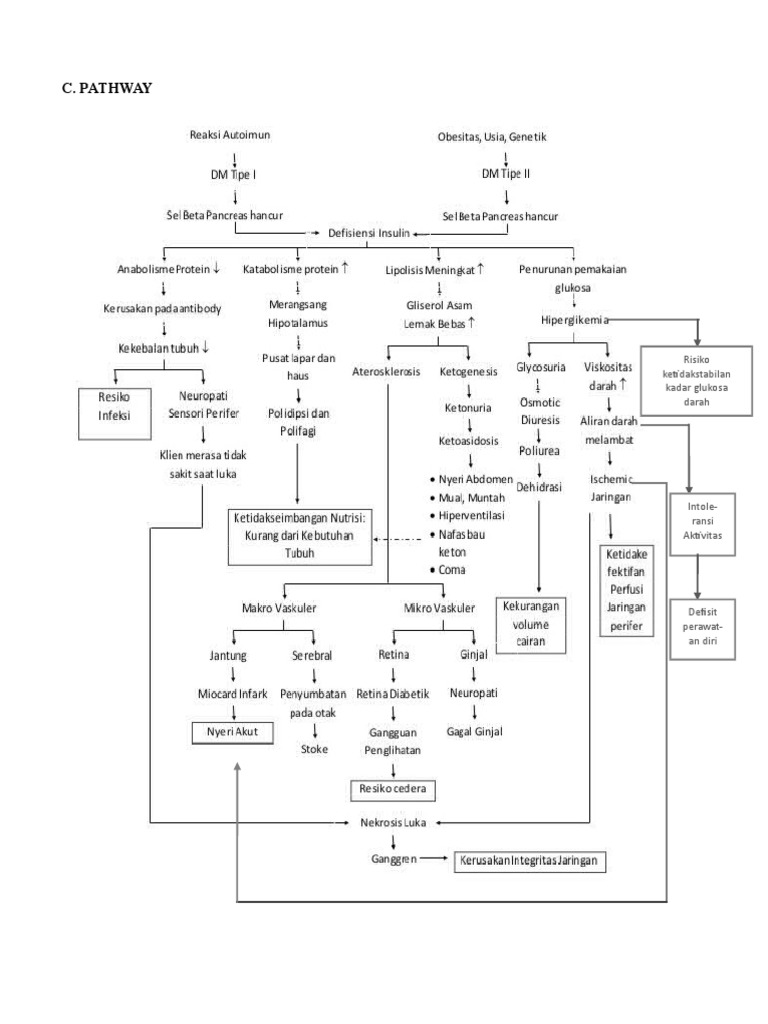 C. Pathway: Risiko Ketidakstabilan Kadar Glukosa Darah | PDF