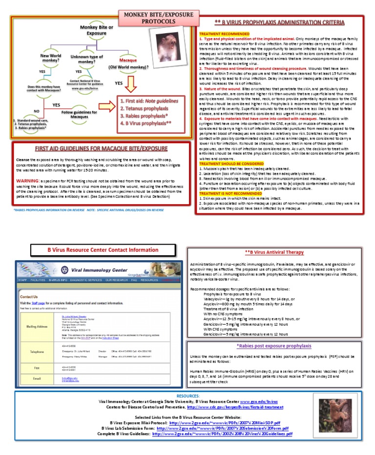 Monkey Bite Protocol | Rabies | Infection