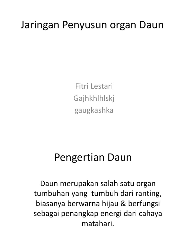 Jaringan Penyusun Organ Daun | PDF