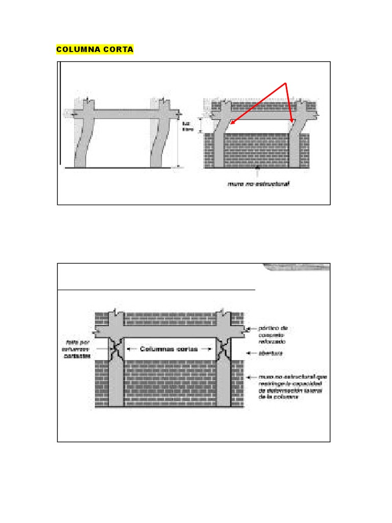 Columna Corta | PDF | Ciencia y matemática