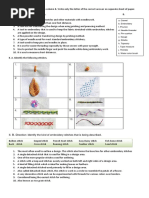 Bomb Defusal Game Module Guide | PDF | Color | Teaching Mathematics