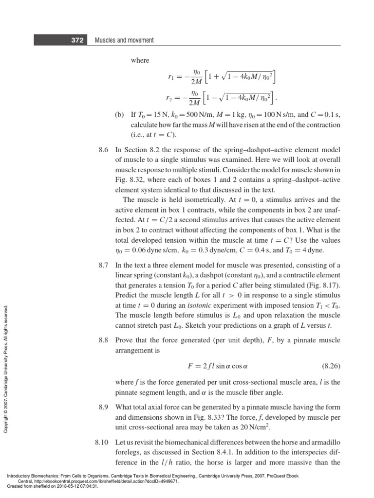 3 | PDF | Knee | Muscle Contraction