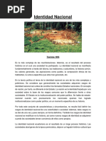 Identidad Nacional Ensayo | PDF | Patriotismo | Nación