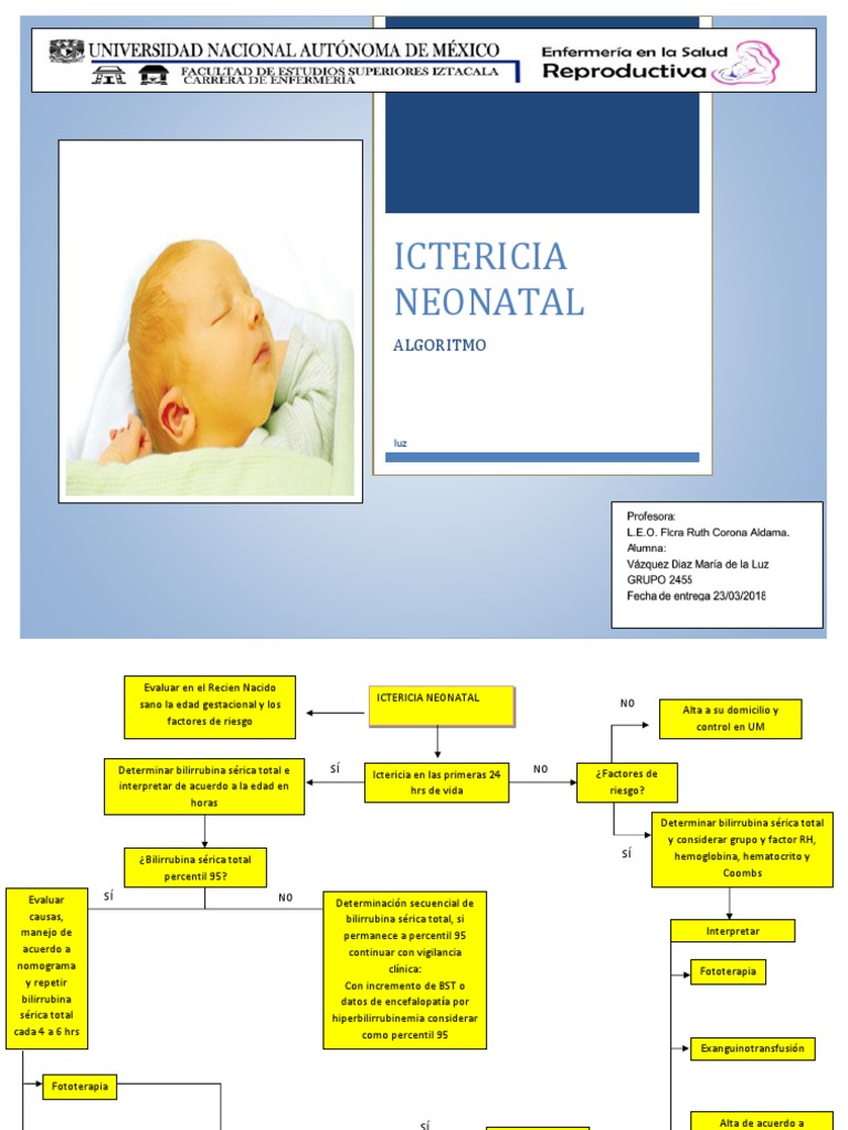 Algoritmo Ictericia Neonatal | PDF | Enfermedades y trastornos | Medicina CLINICA