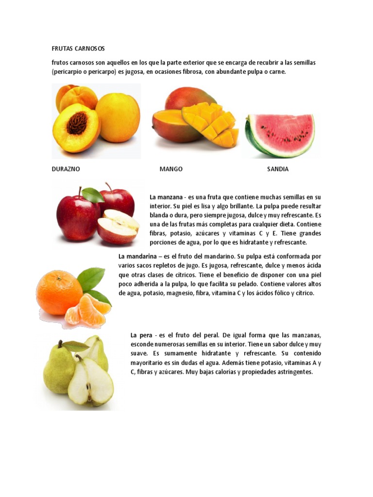 Frutas Carnosos y Secos