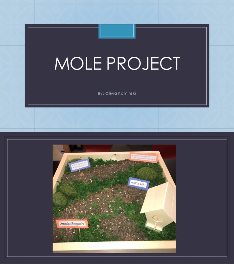 Mole Project | PDF